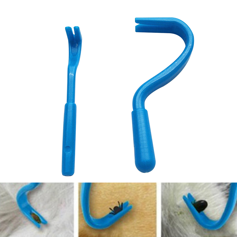 Dispositivo per la toelettatura graffio cane gancio rimozione pulci zecca pulizia animali domestici