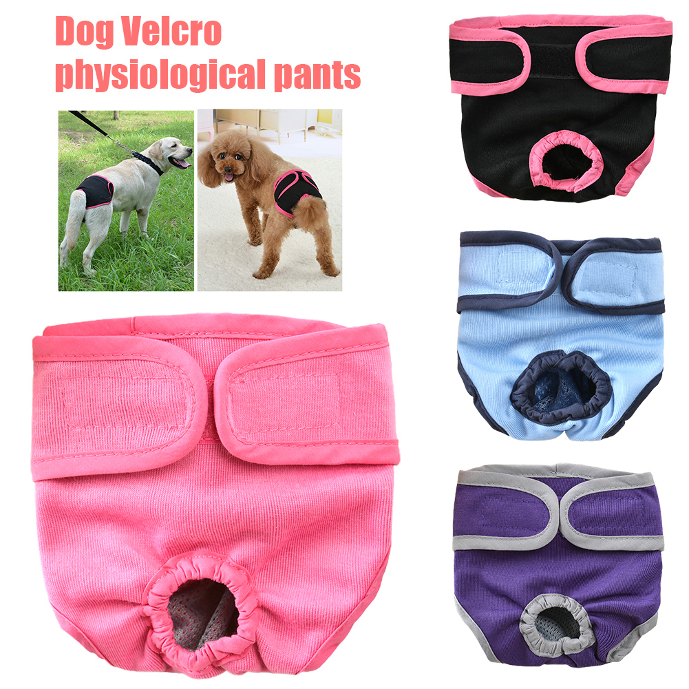 Pannolino cane femmina flessibile per adesivo ad alto assorbimento riutilizzabile lavabile