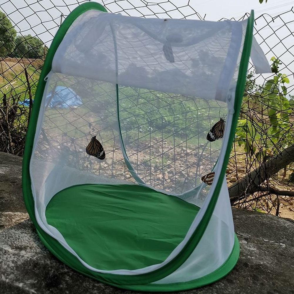 Insect Cage Breathable Collapsible Design Observation Net Butterfly ...