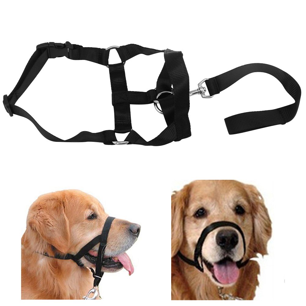 Copribocca ad anello regolabile antimorsi nylon cane muso guinzaglio toelettatura durevole