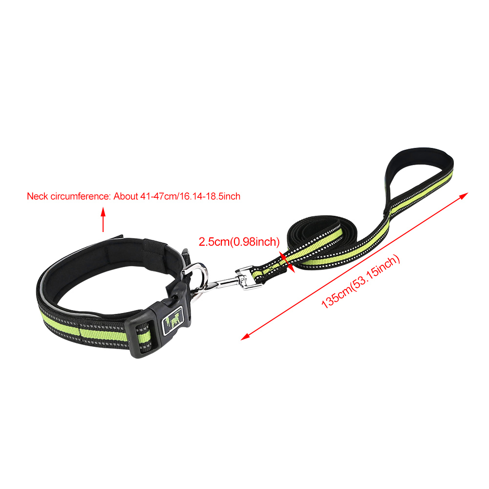 Collare per cane imbottito in neoprene con forniture per animali domestici guinzaglio alla moda all'aperto forte