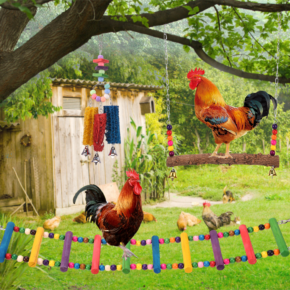PECKING FOR HENS Swing Ladder Xylophone Bird Parrot Perch Chicken Toy ...