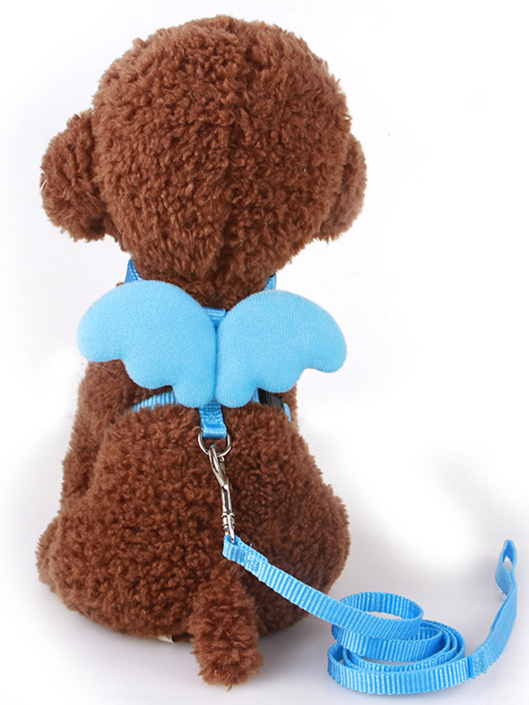 Cassaforte da passeggio gatto cucciolo allenamento morbido imbracatura animale domestico ala angelo con guinzaglio esterno