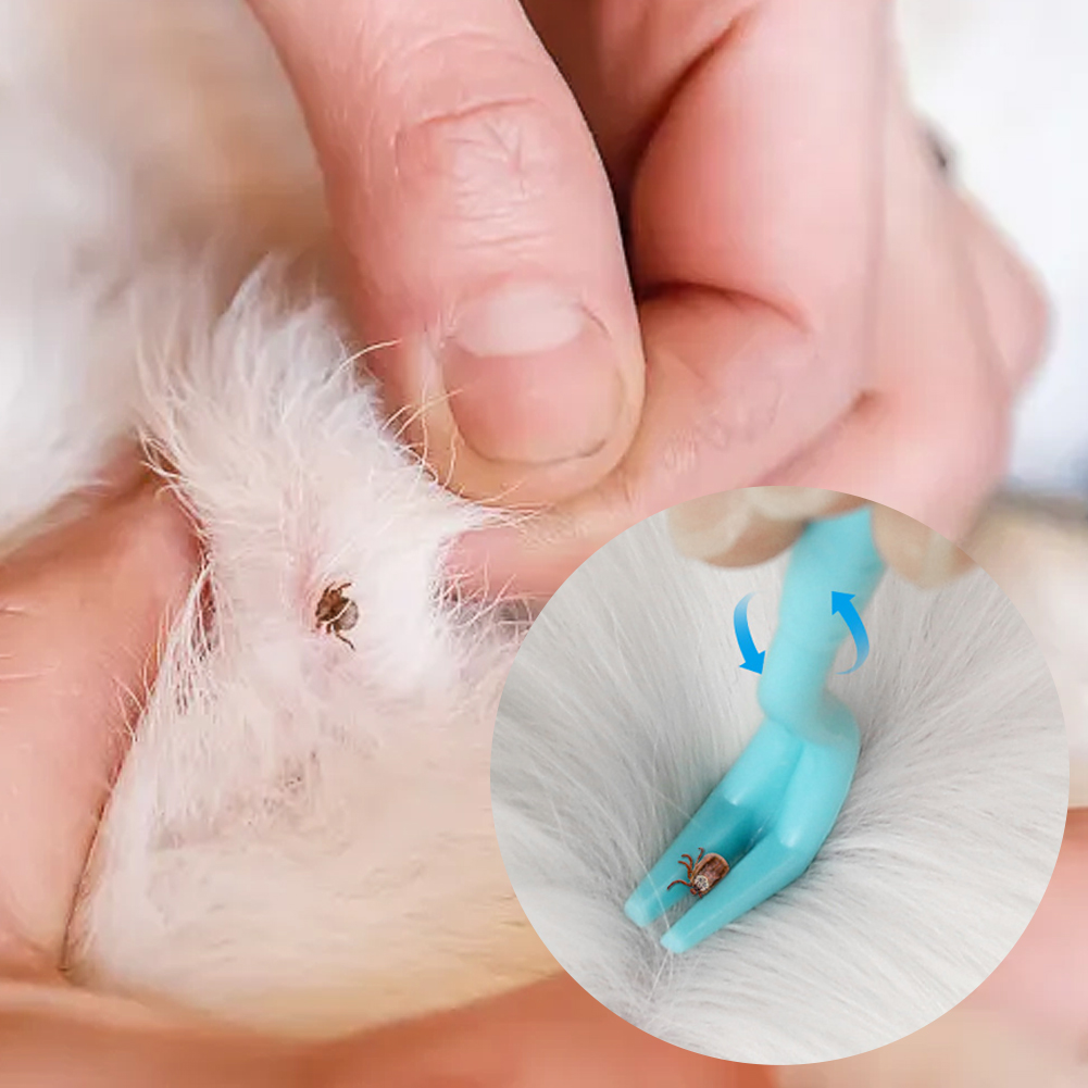 4pcs For Cat Dog Portable Professional Solid With Hook Cleaning Flea ...